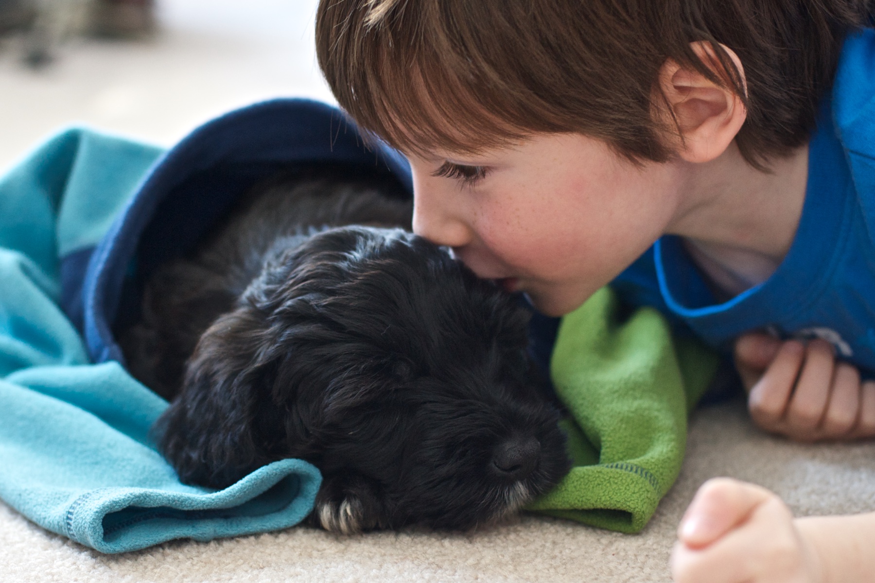 What Happens When a Baby Photographer Gets a Puppy | Vanessa Dewson ...